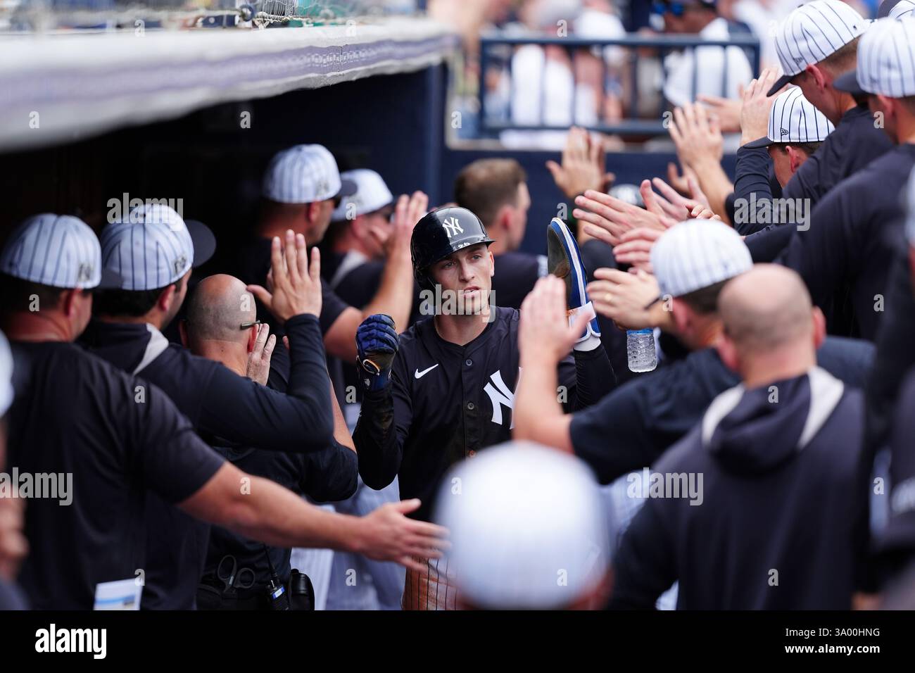 TAMPA, FL - MARCH 01: New York Yankees outfielder Duke Ellis (70) is ...