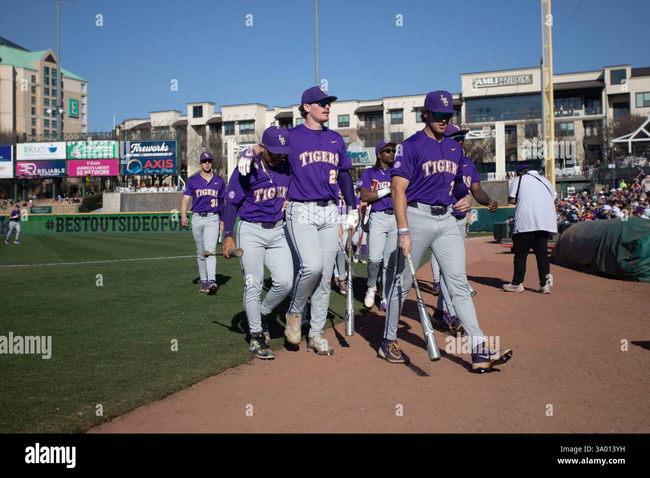 March 1, 2025, Frisco, Texas, USA: LSU players walk back to the dugout ...