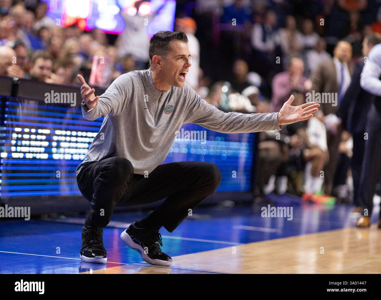Florida head coach Todd Golden reacts during the first half of an NCAA ...