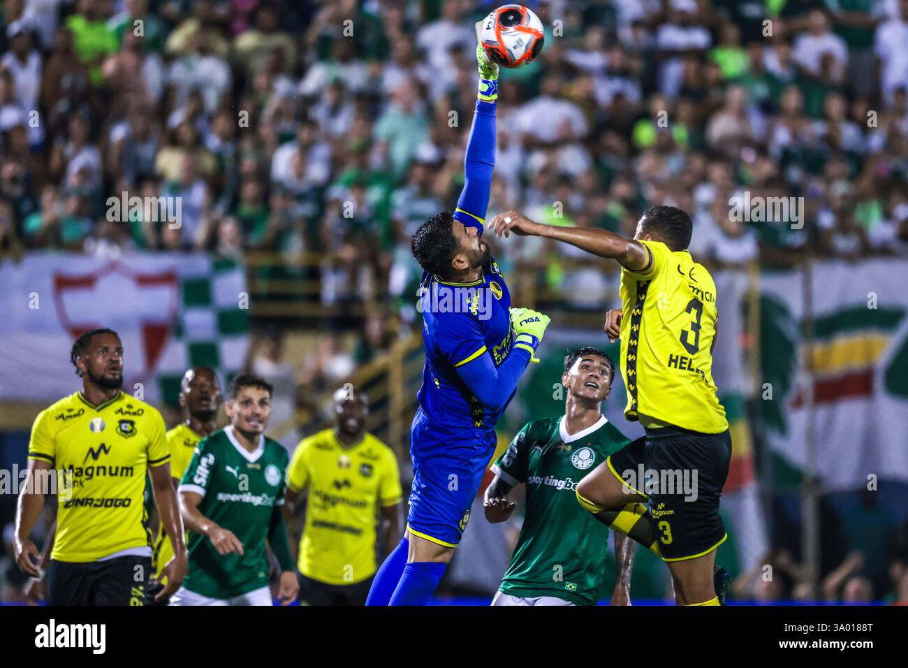 Alex Alves goalkeeper of Sao Bernardo during the match against ...