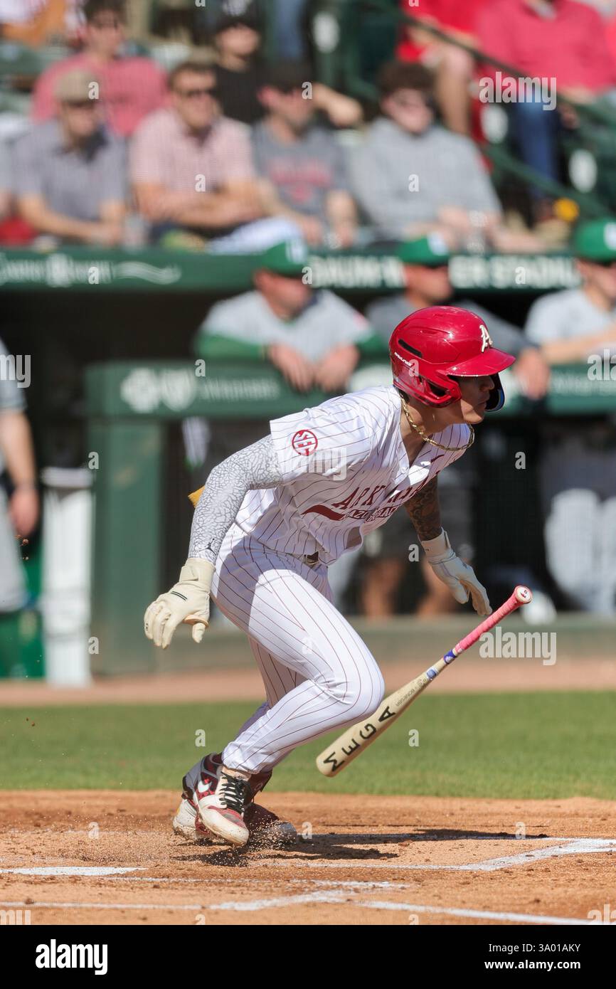 20250301 hi-res stock photography and images - Alamy