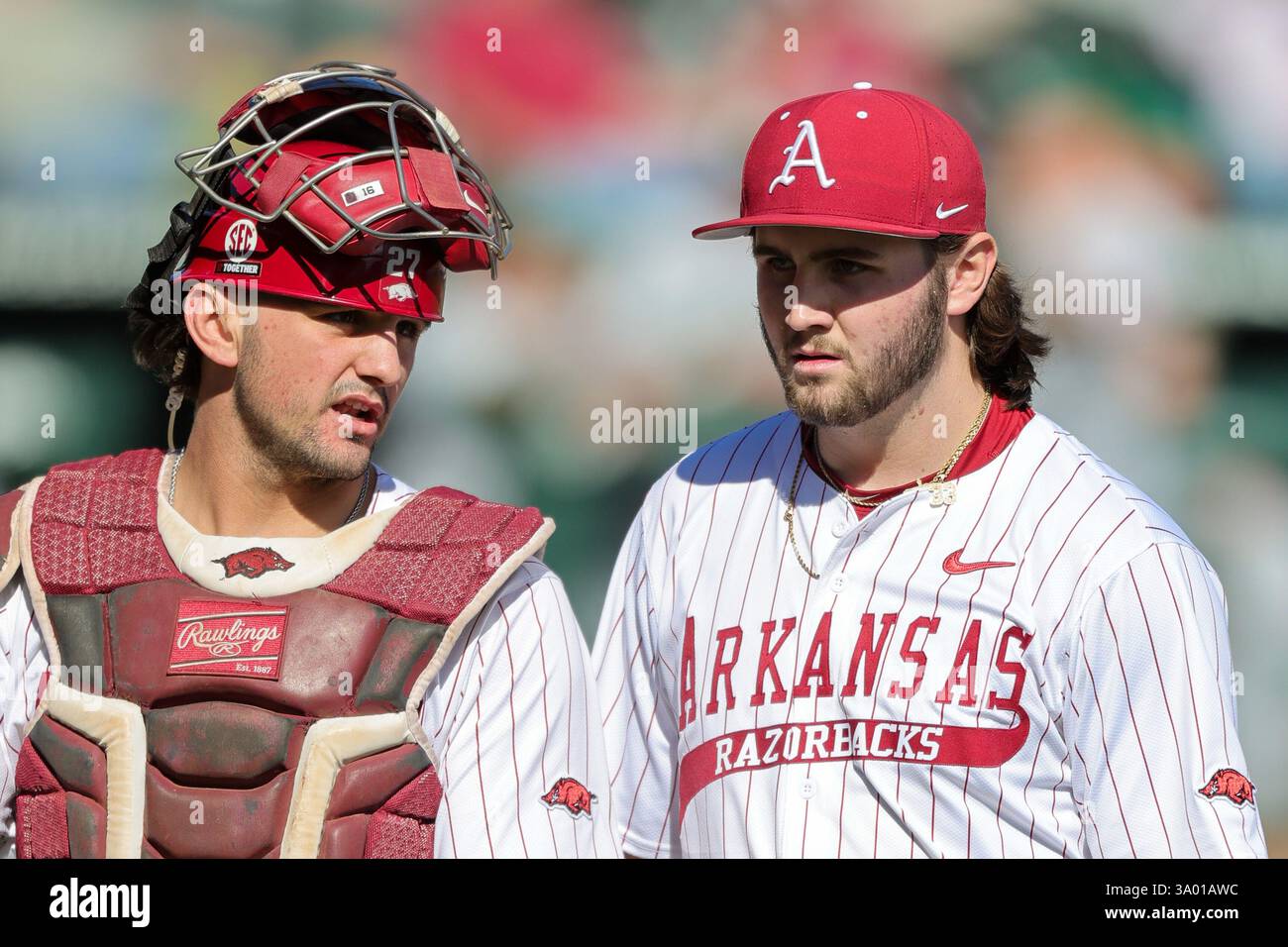 March 1, 2025: Arkansas catcher Ryder Helfrick (27) comes off the field ...