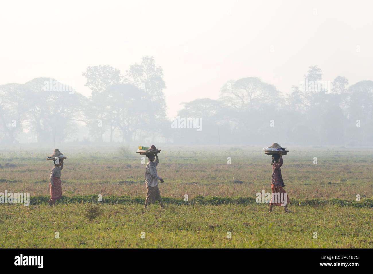 Farmers walk through a field as Myanmar celebrates the national holiday ...