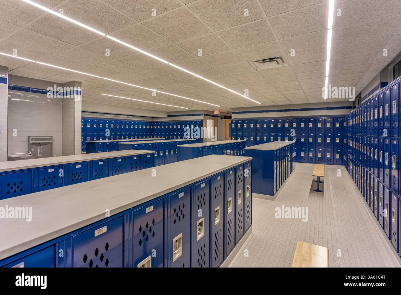 Empty team locker room, changing room, with traditional blue metal ...