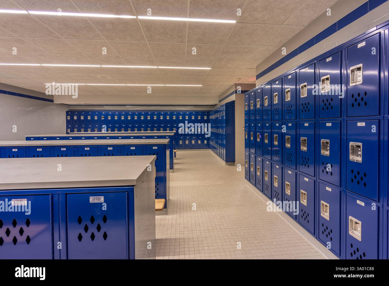 Empty team locker room, changing room, with traditional blue metal ...