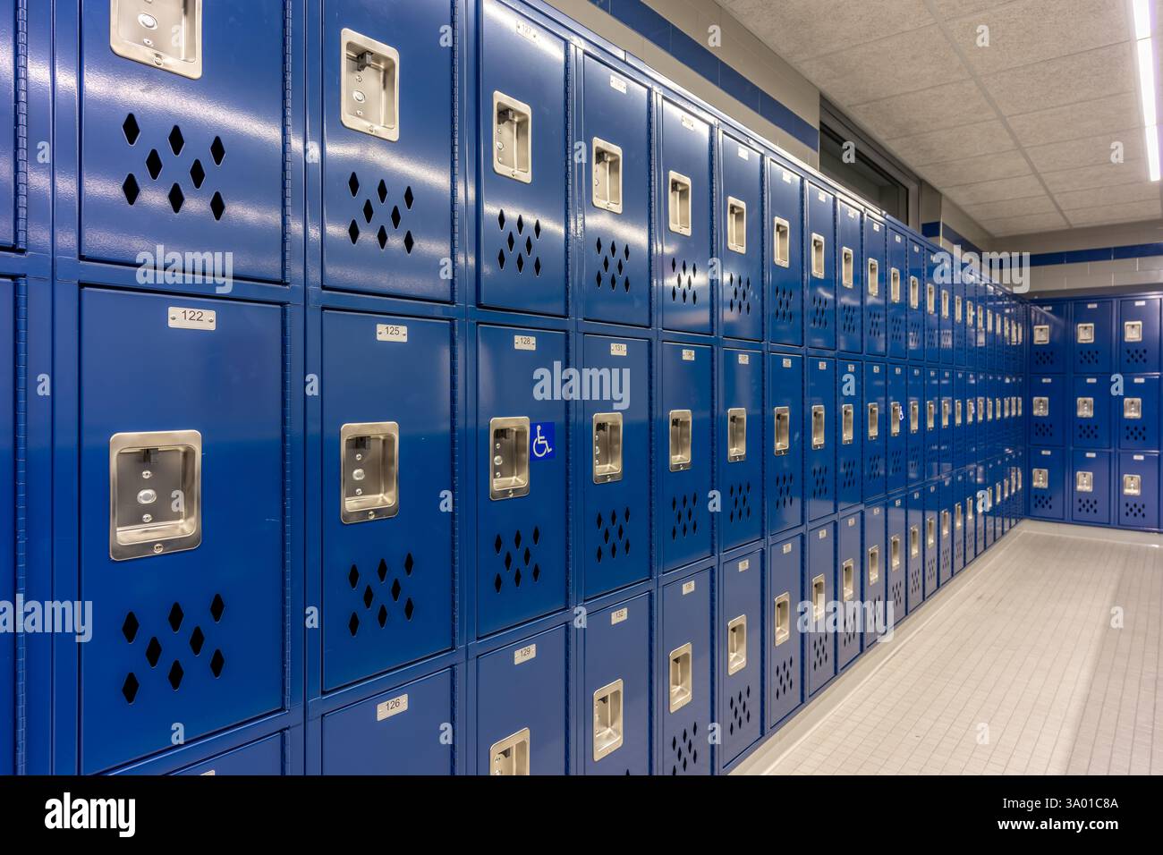 Empty team locker room, changing room, with traditional blue metal ...