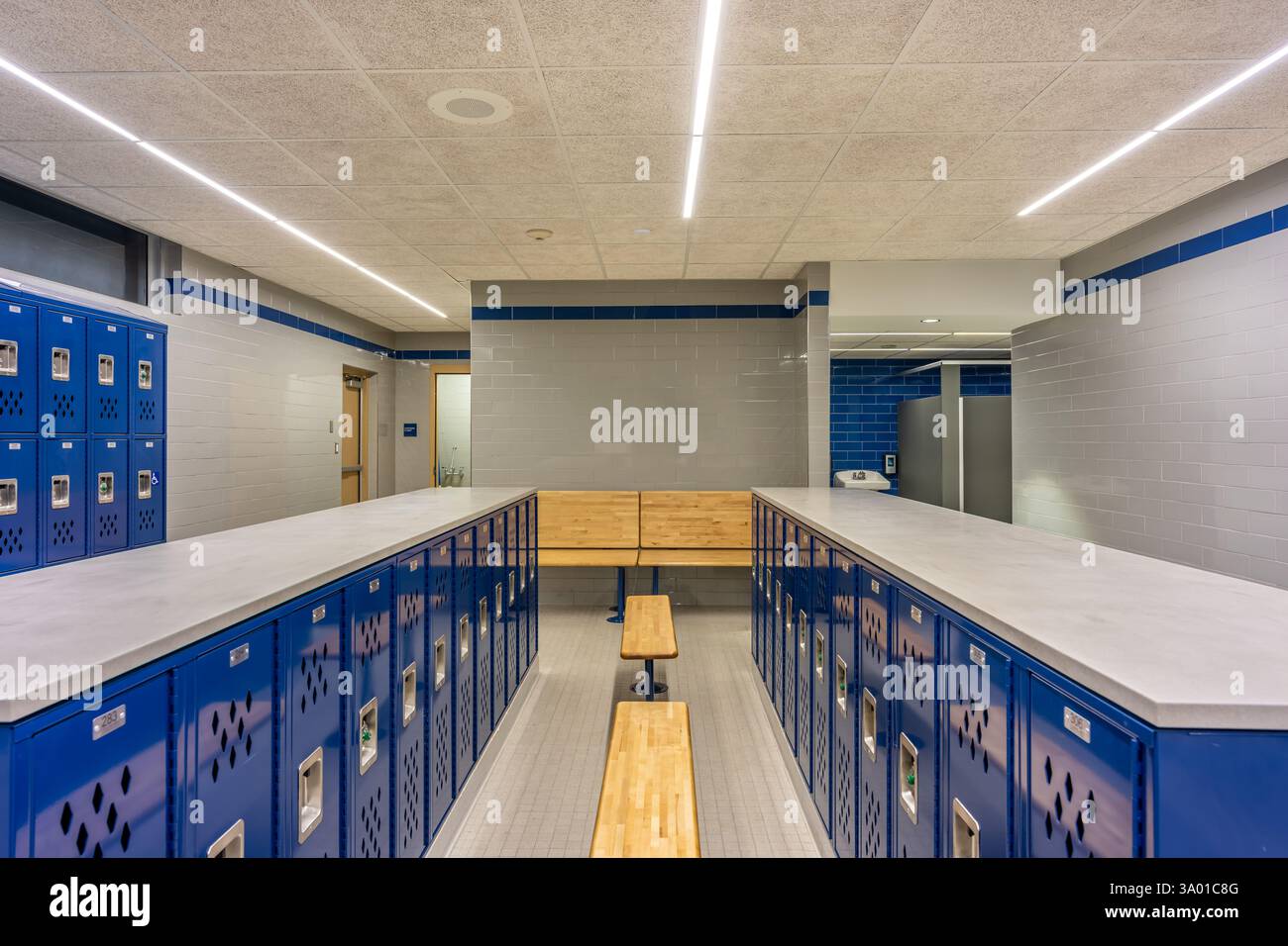 Empty team locker room, changing room, with traditional blue metal ...