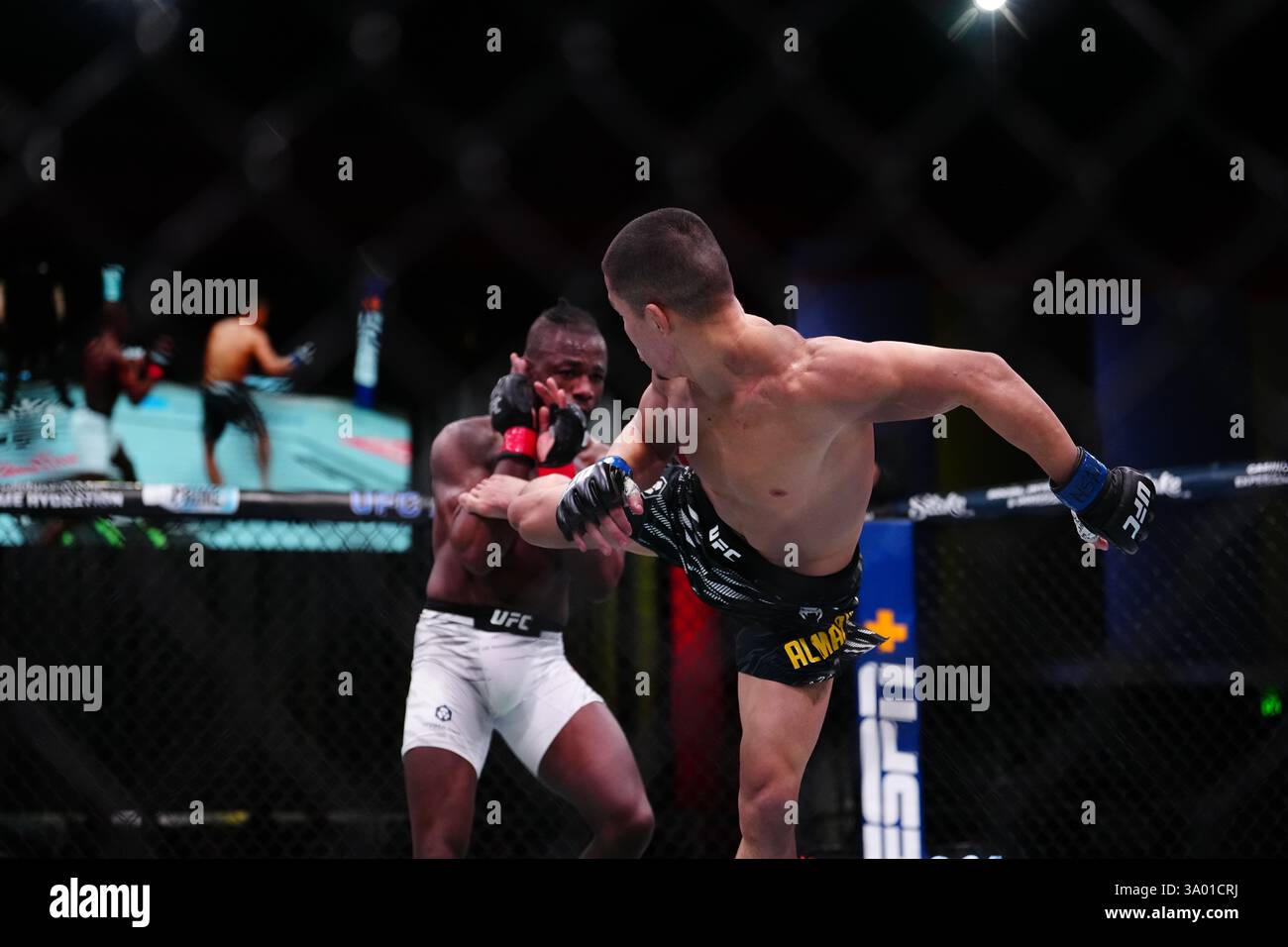 LAS VEGAS, NV - MARCH 1: Manel Kape and Asu Almabayev meet in the ...