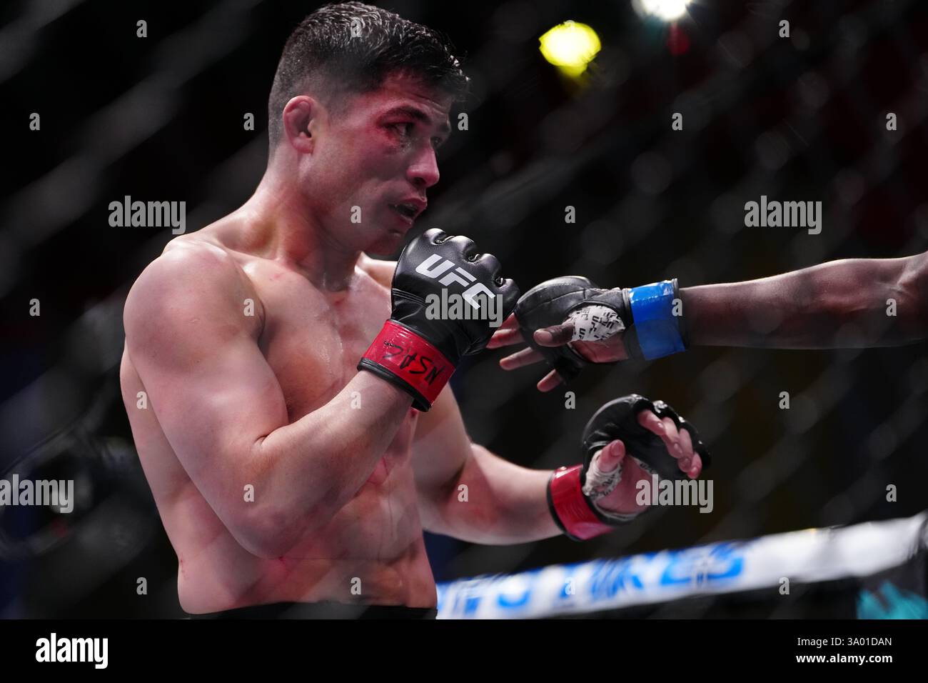 LAS VEGAS, NV - MARCH 1: Hyder Amil and William Gomis meet in the ...