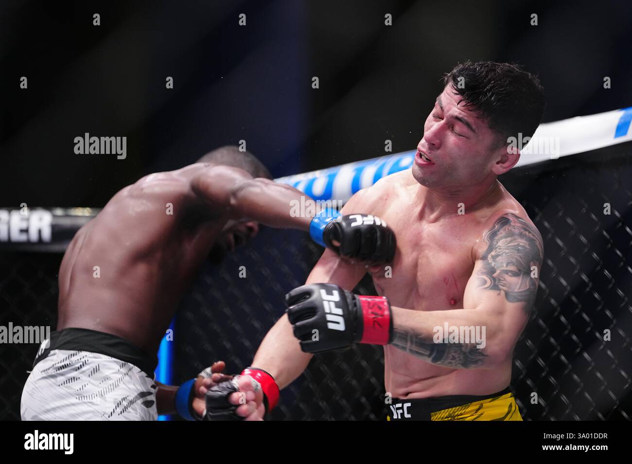 LAS VEGAS, NV - MARCH 1: Hyder Amil and William Gomis meet in the ...