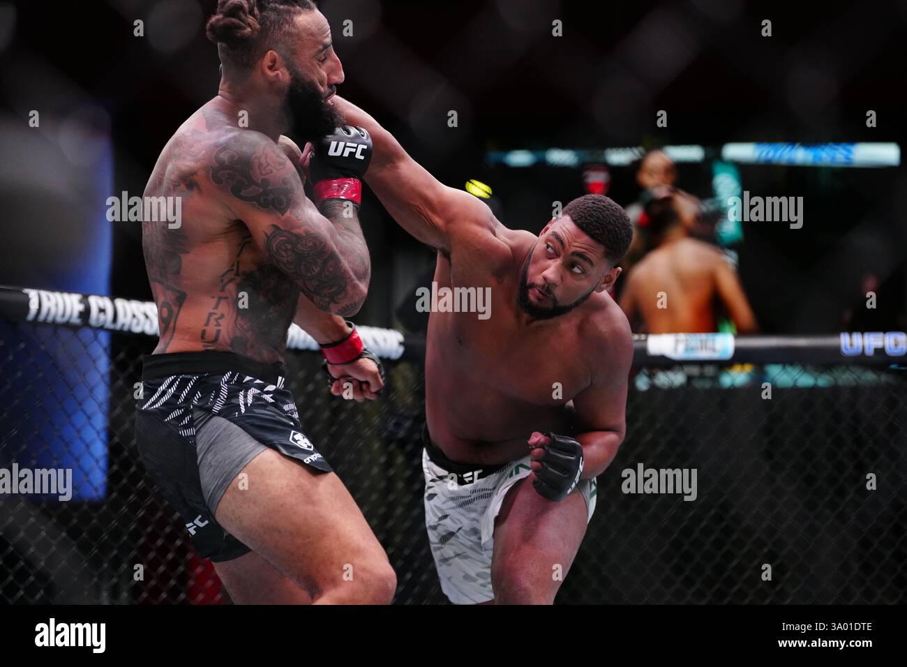 Las Vegas, Nv, United States. 01st Mar, 2025. LAS VEGAS, NV - MARCH 1 ...