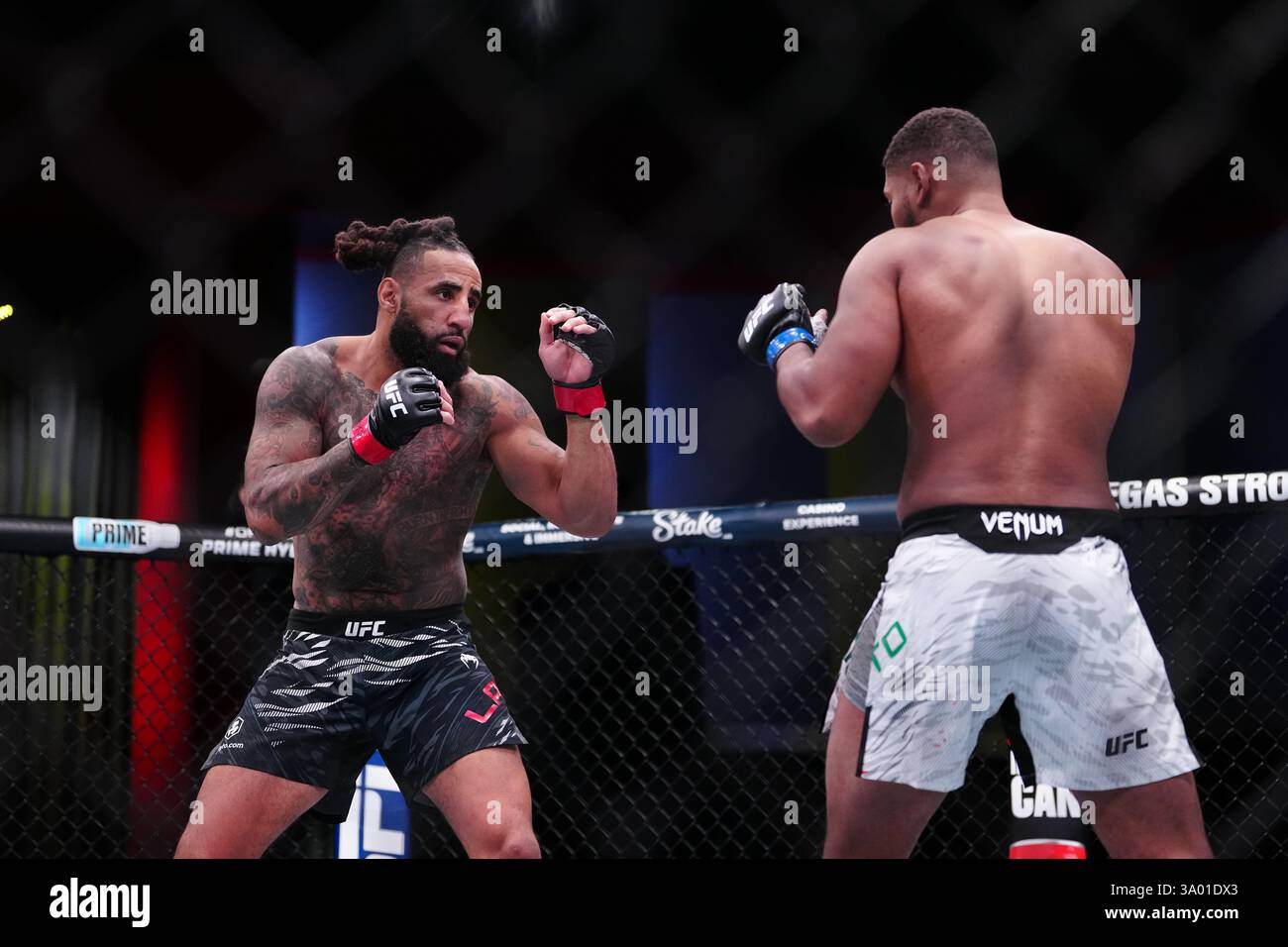 LAS VEGAS, NV - MARCH 1: Austen Lane and Mario Pinto meet in the ...