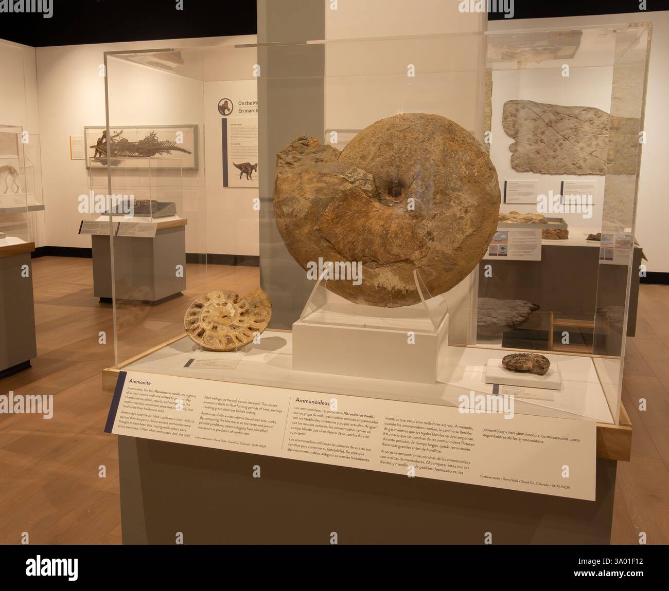 Pierre shale museum hi-res stock photography and images - Alamy