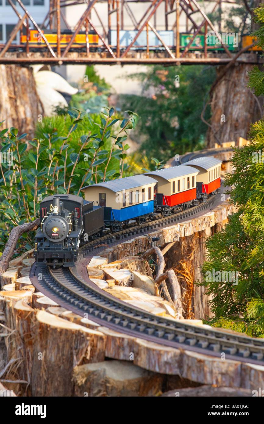 A black steam locomotive with red and blue passenger cars travels a ...