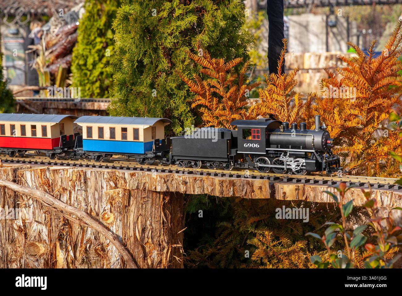 A black steam locomotive with red and blue passenger cars travels a ...