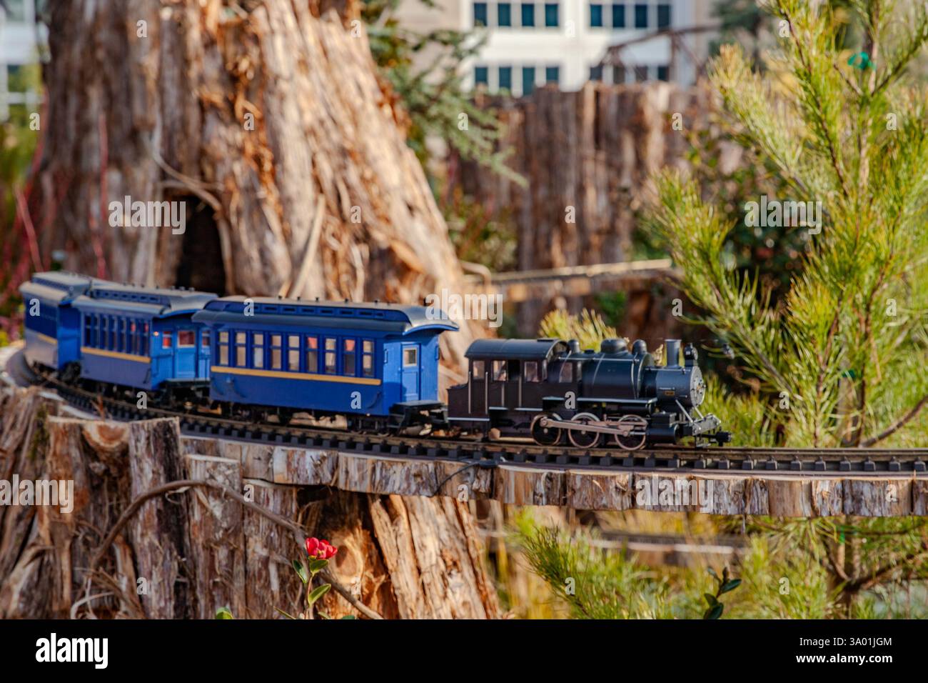 A black steam locomotive pulls blue passenger cars over a railway ...
