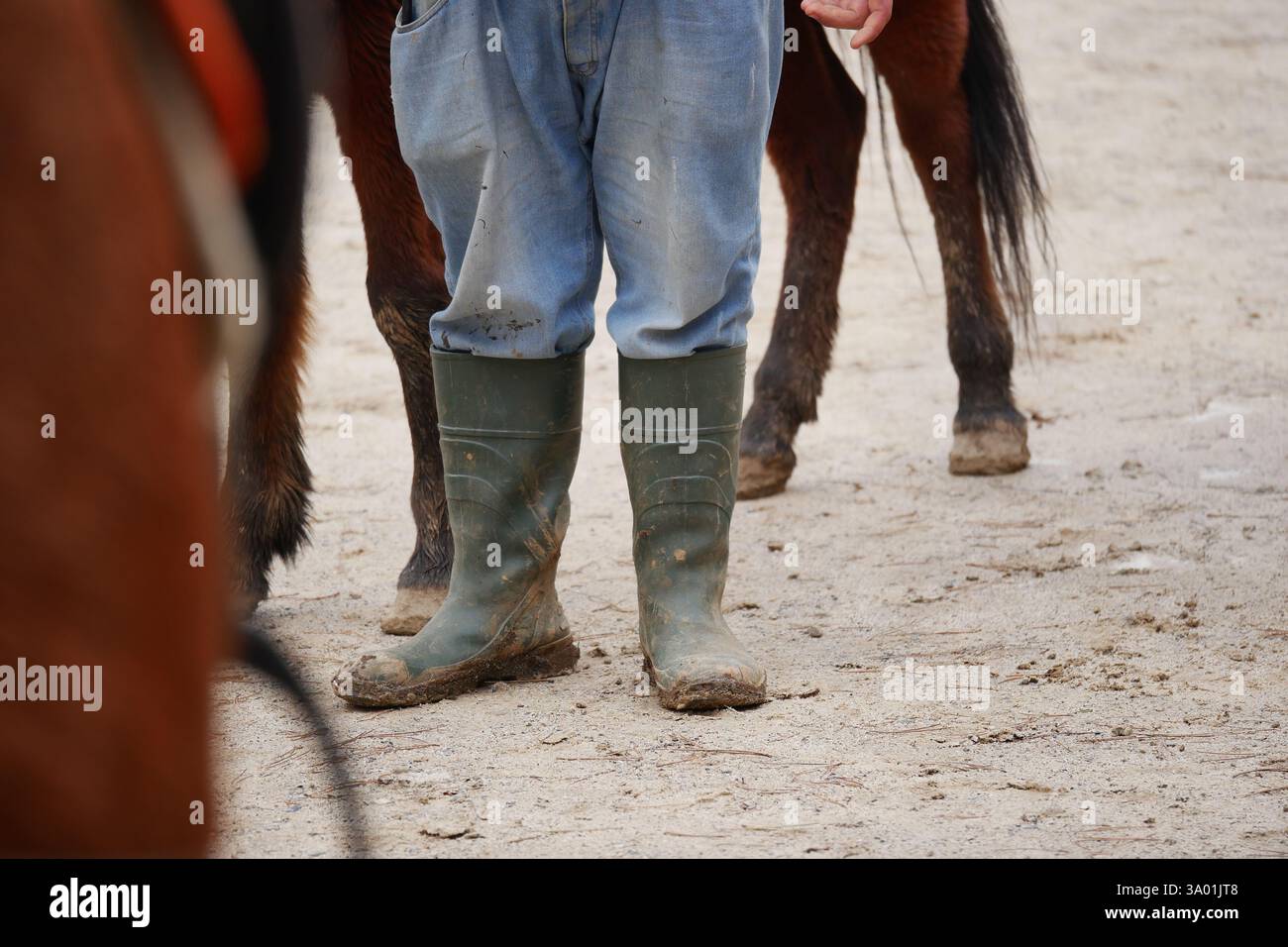 Rubber riding boots equestrian hi-res stock photography and images - Alamy