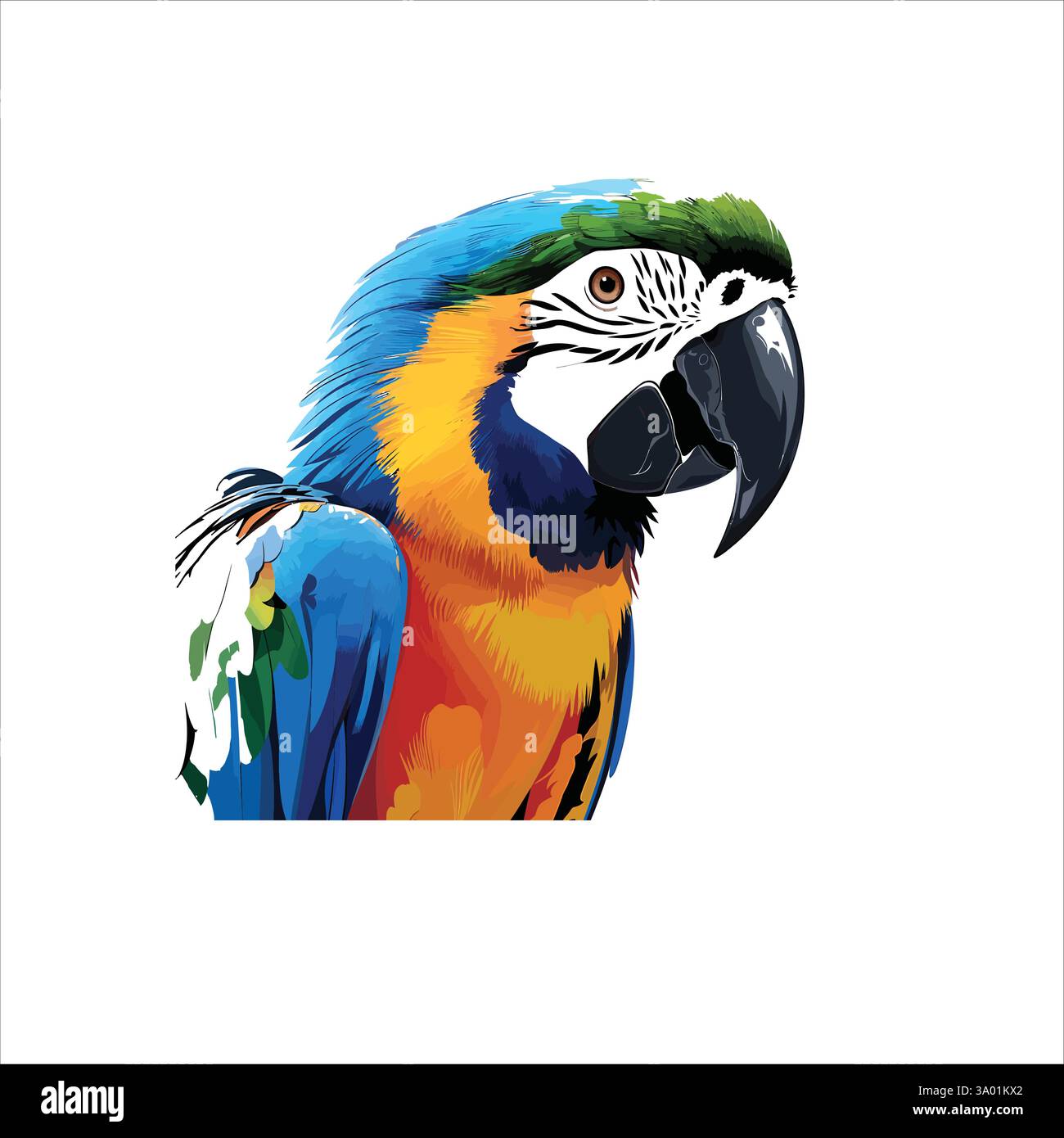 Parrot head cartoon character illustration Stock Vector Image & Art - Alamy