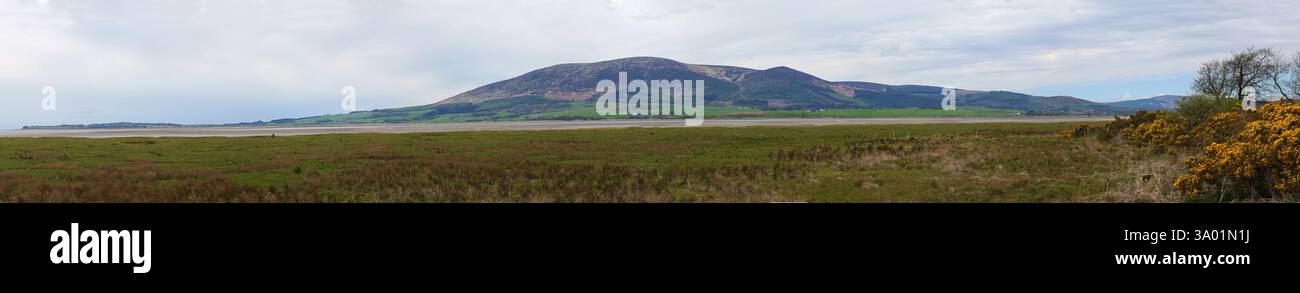 Panorama [ stitched image ] of the Nith estuary with Criffel in ...