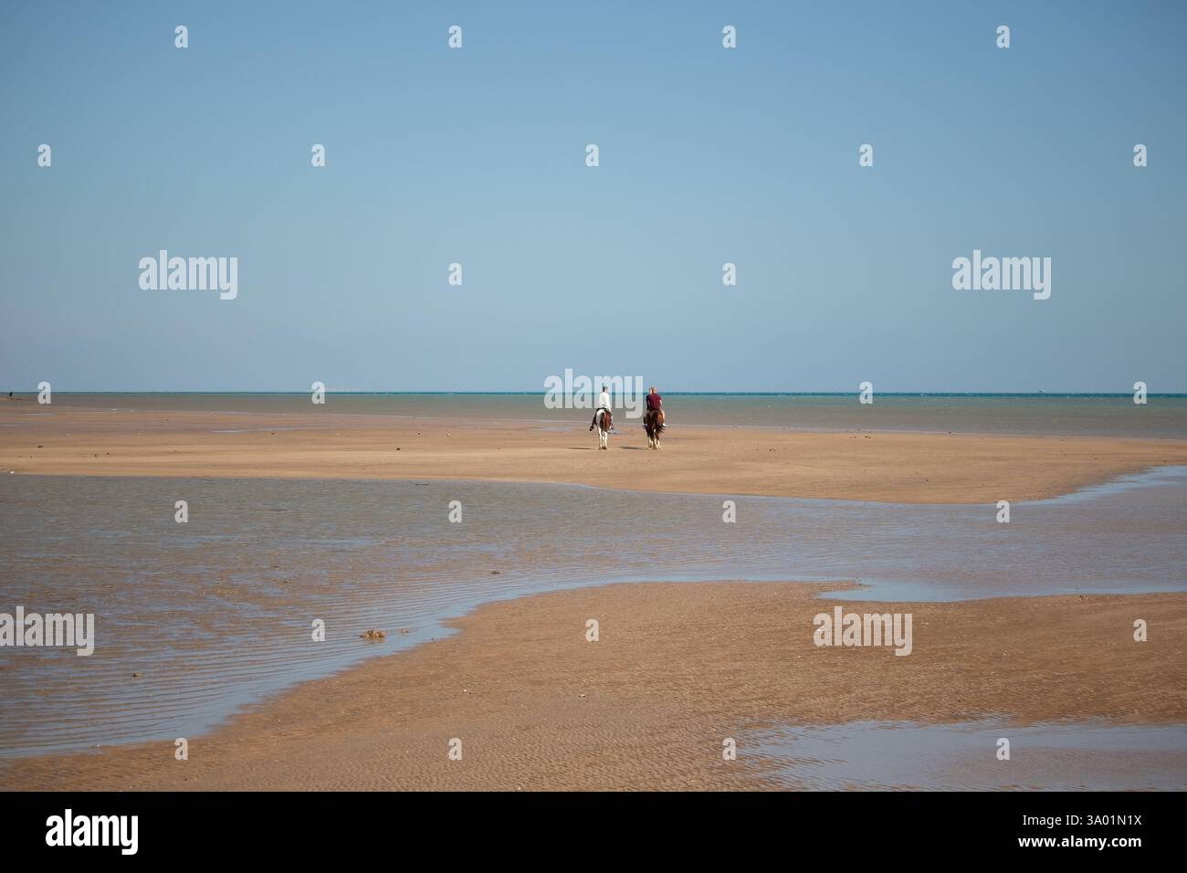 beautiful red sea beach in Hurghada, Egypt Stock Photo - Alamy