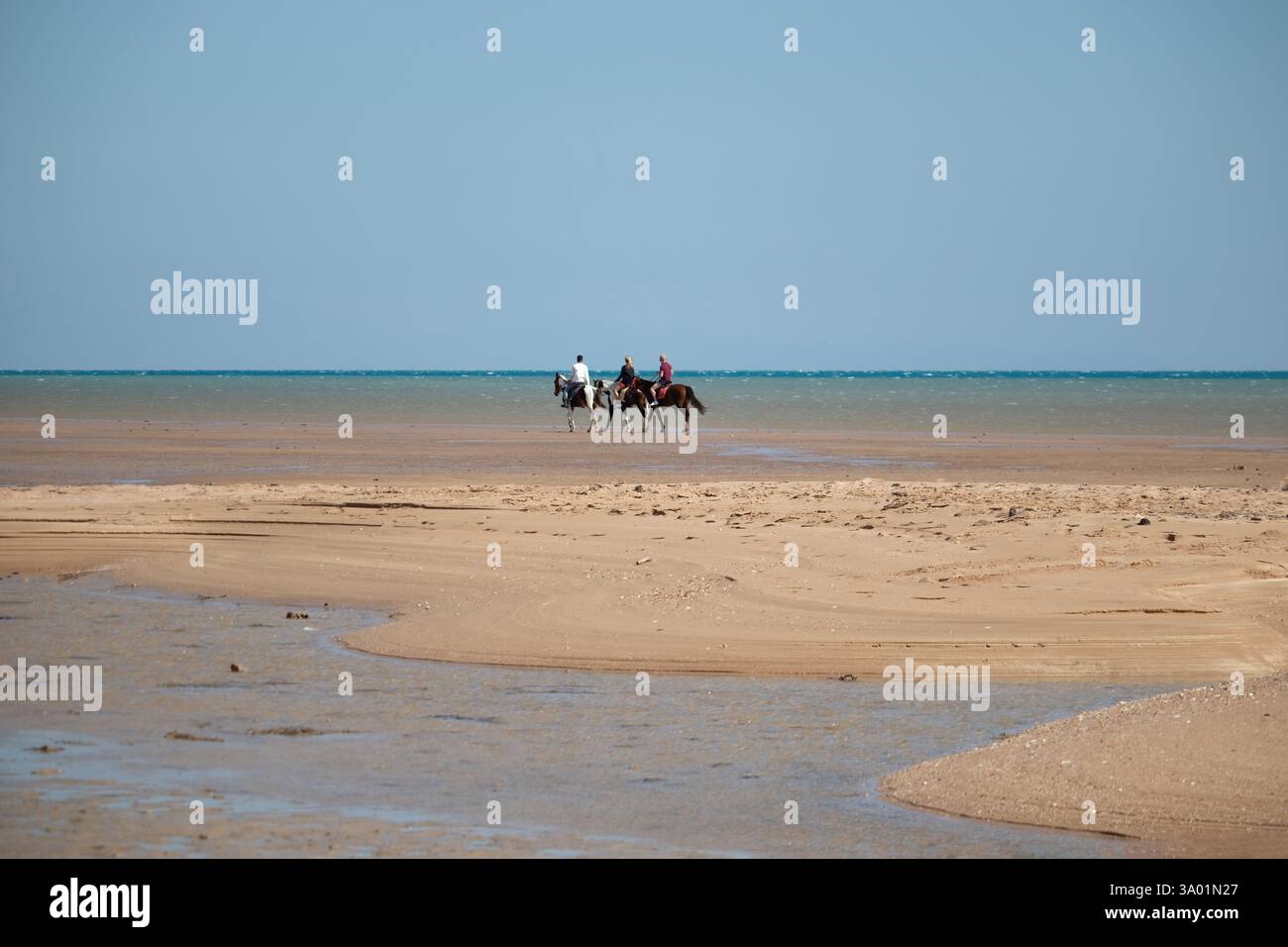 beautiful red sea beach in Hurghada, Egypt Stock Photo - Alamy