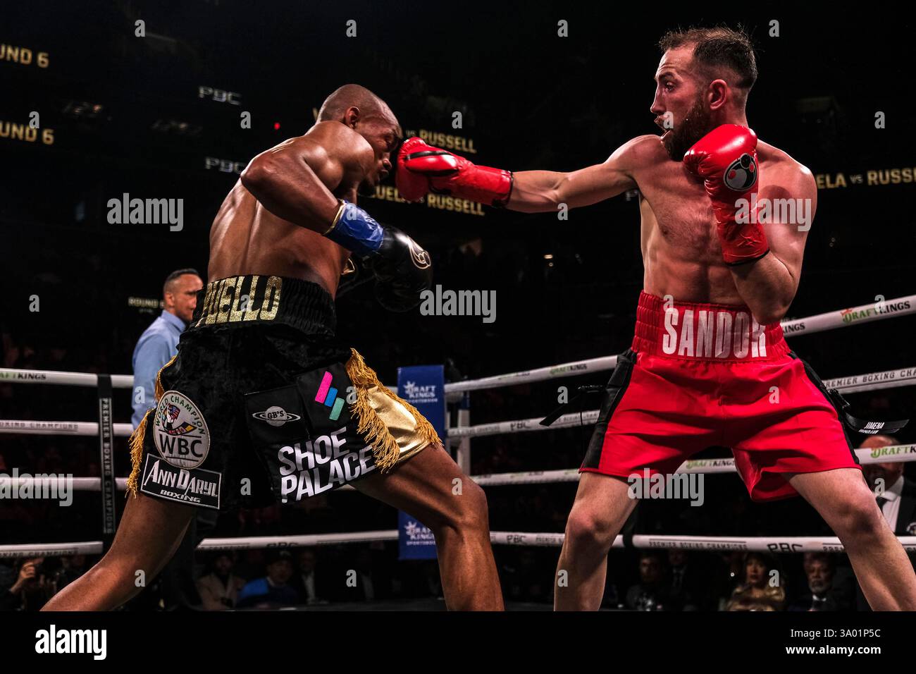 March 1, 2025, Brooklyn, New York, USA: Action between Alberto Puello ...