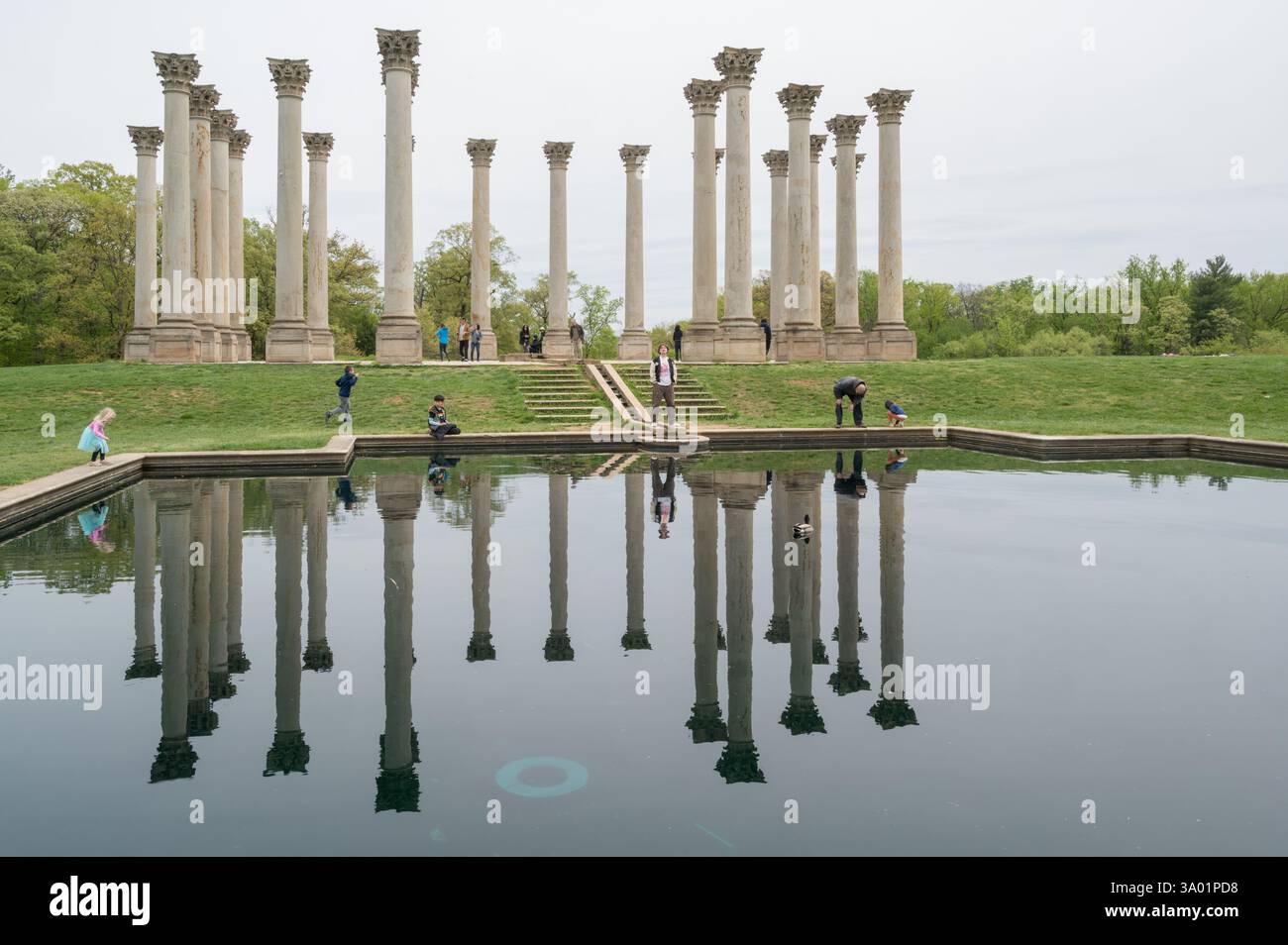 Historic US Capitol columns are displayed in Washington DC at the ...