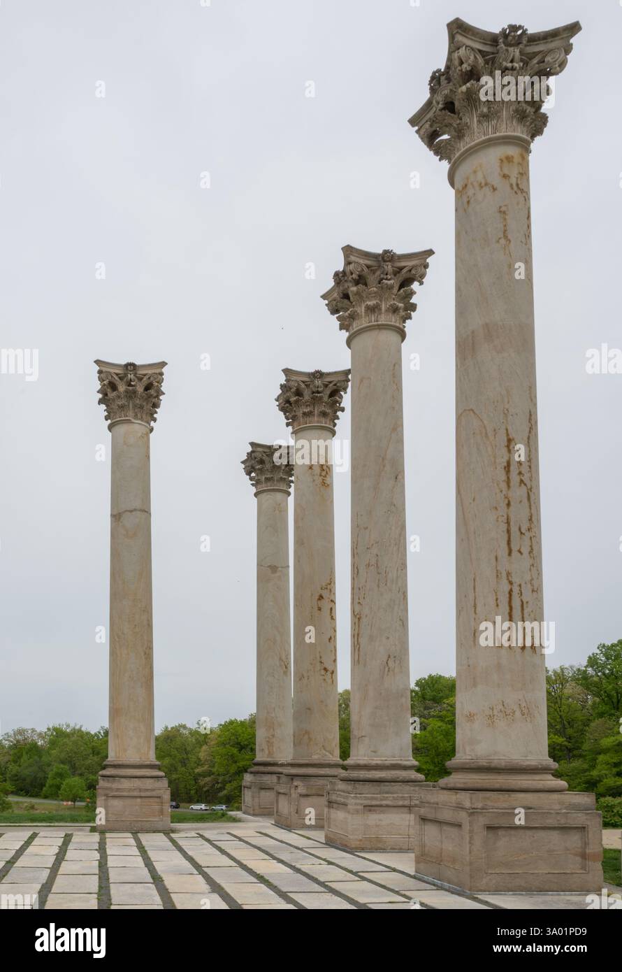 Historic US Capitol columns are displayed in Washington DC at the ...