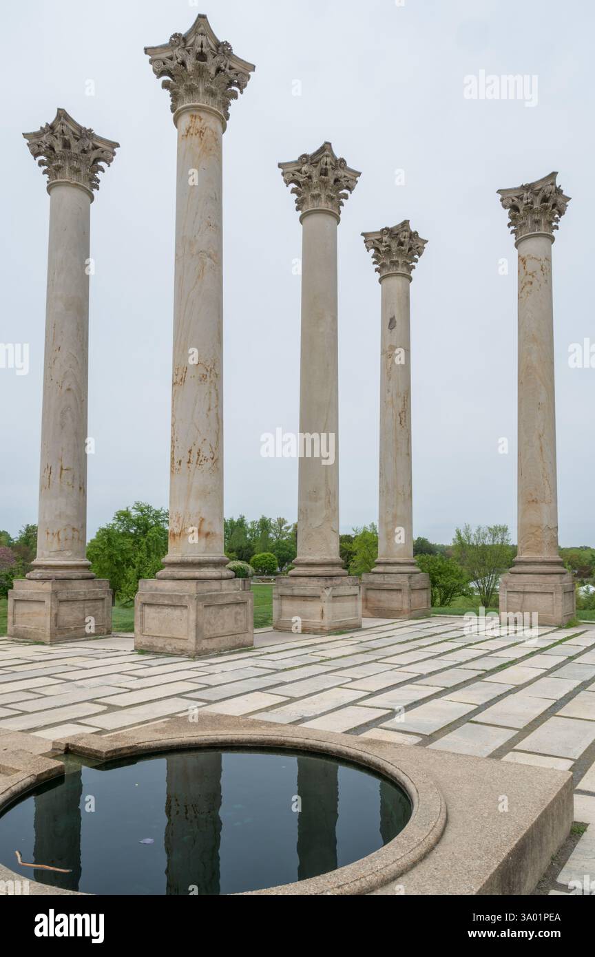 Historic US Capitol columns are displayed in Washington DC at the ...