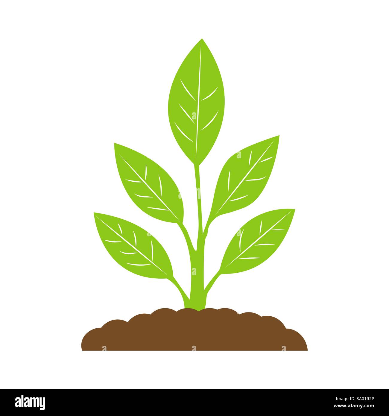 Sprout Logo Isolated White background Stock Vector Image & Art - Alamy