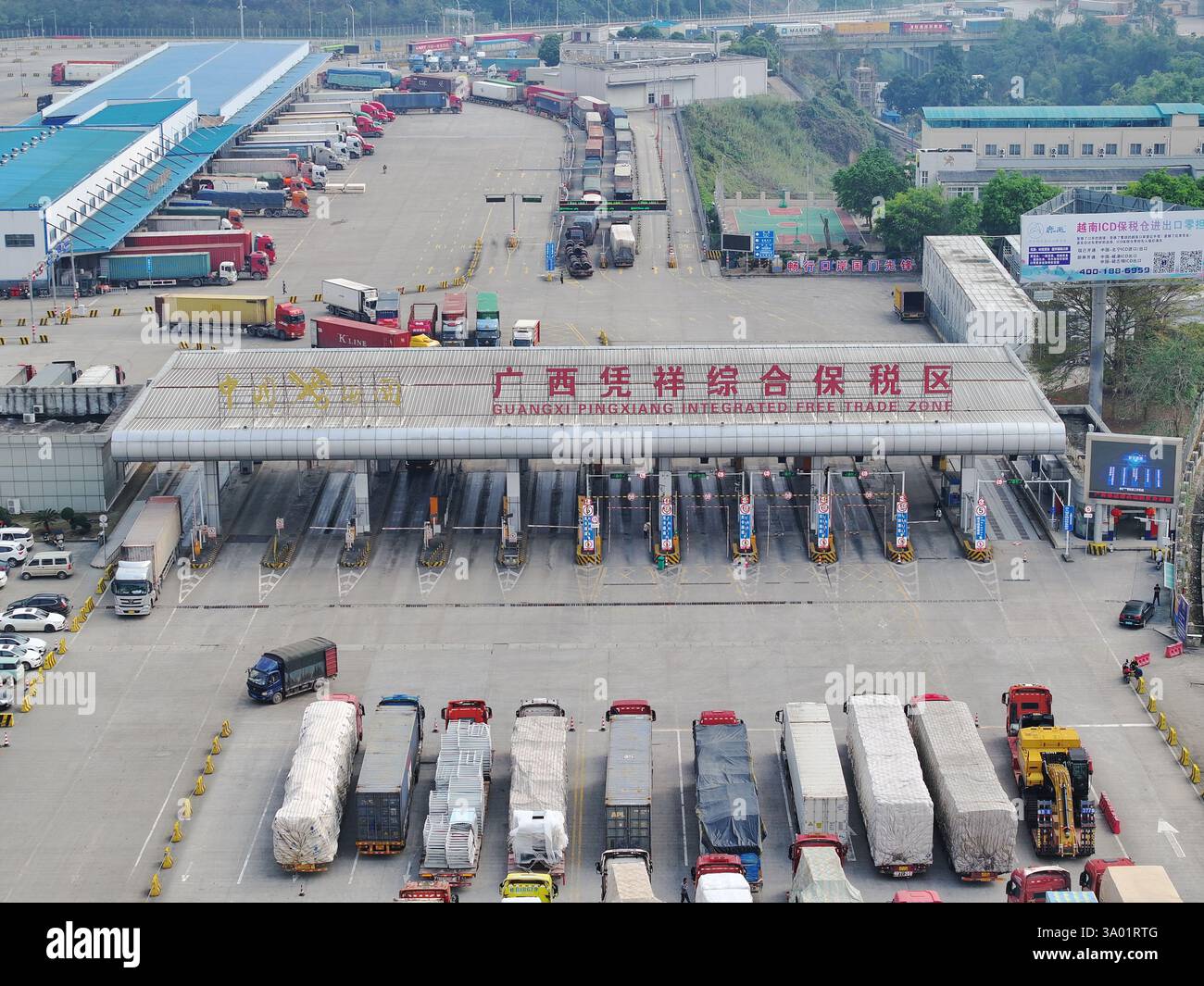 Nanning, China's Guangxi Zhuang Autonomous Region. 1st Mar, 2025. An ...