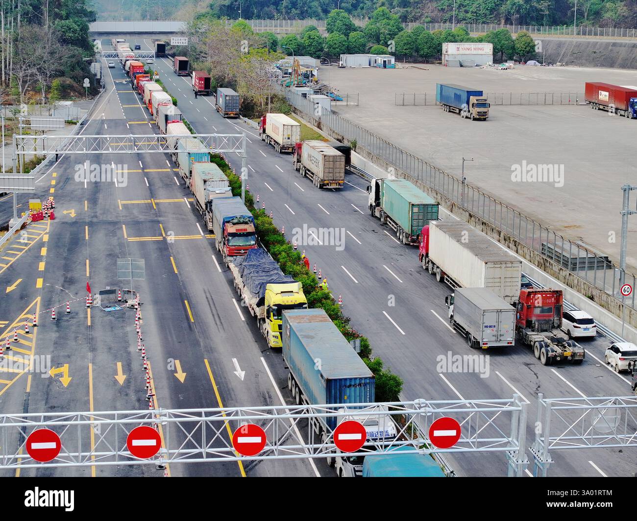 Nanning, China's Guangxi Zhuang Autonomous Region. 1st Mar, 2025. An ...