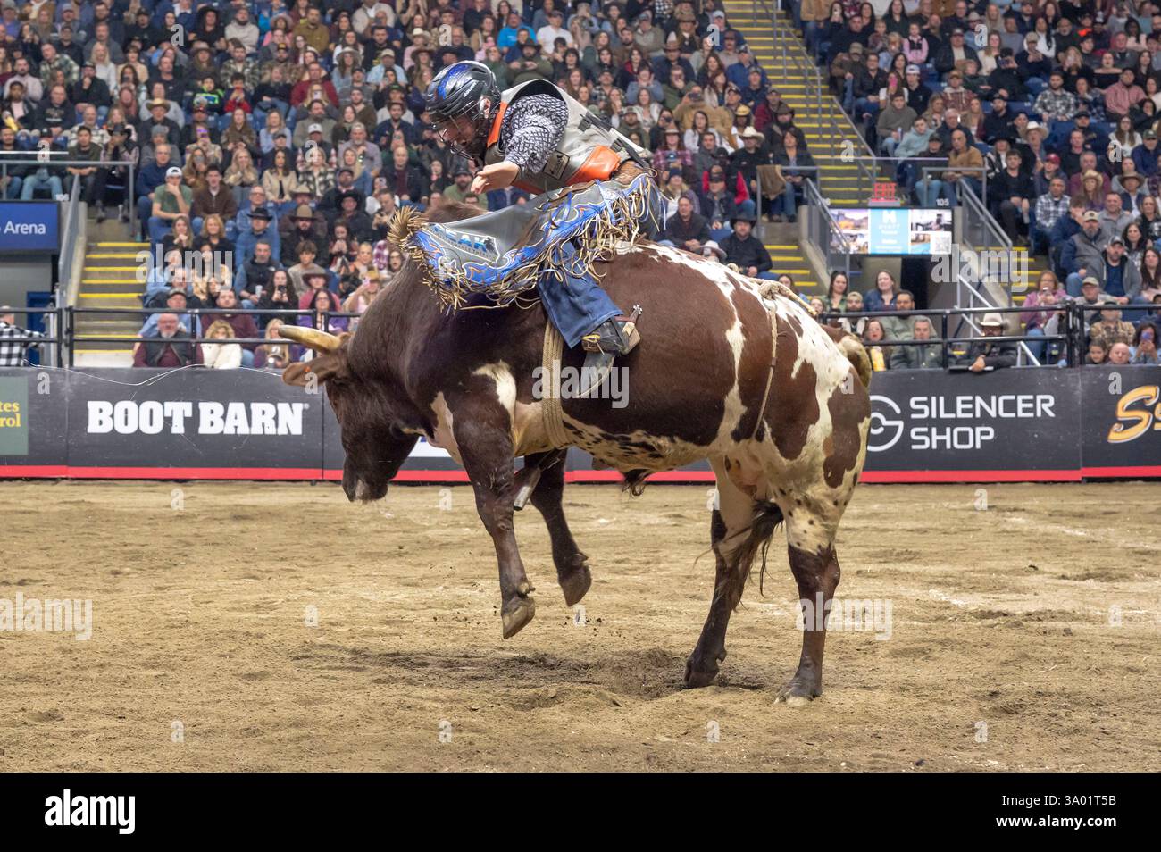 Bridgeport, United States. 01st Mar, 2025. BRIDGEPORT, CONNECTICUT ...