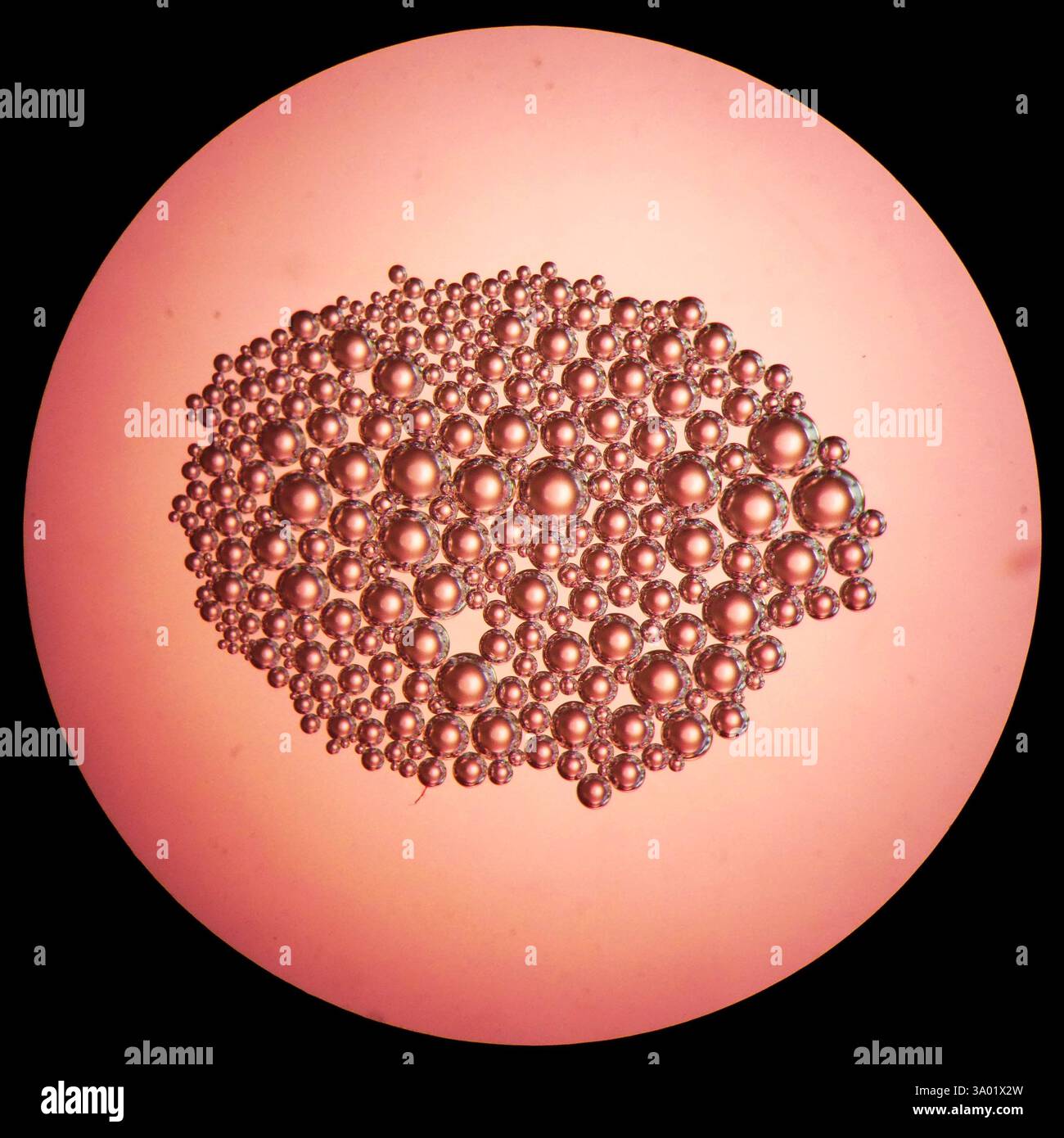 Microscopic air bubbles floating in the microscope field with creative ...