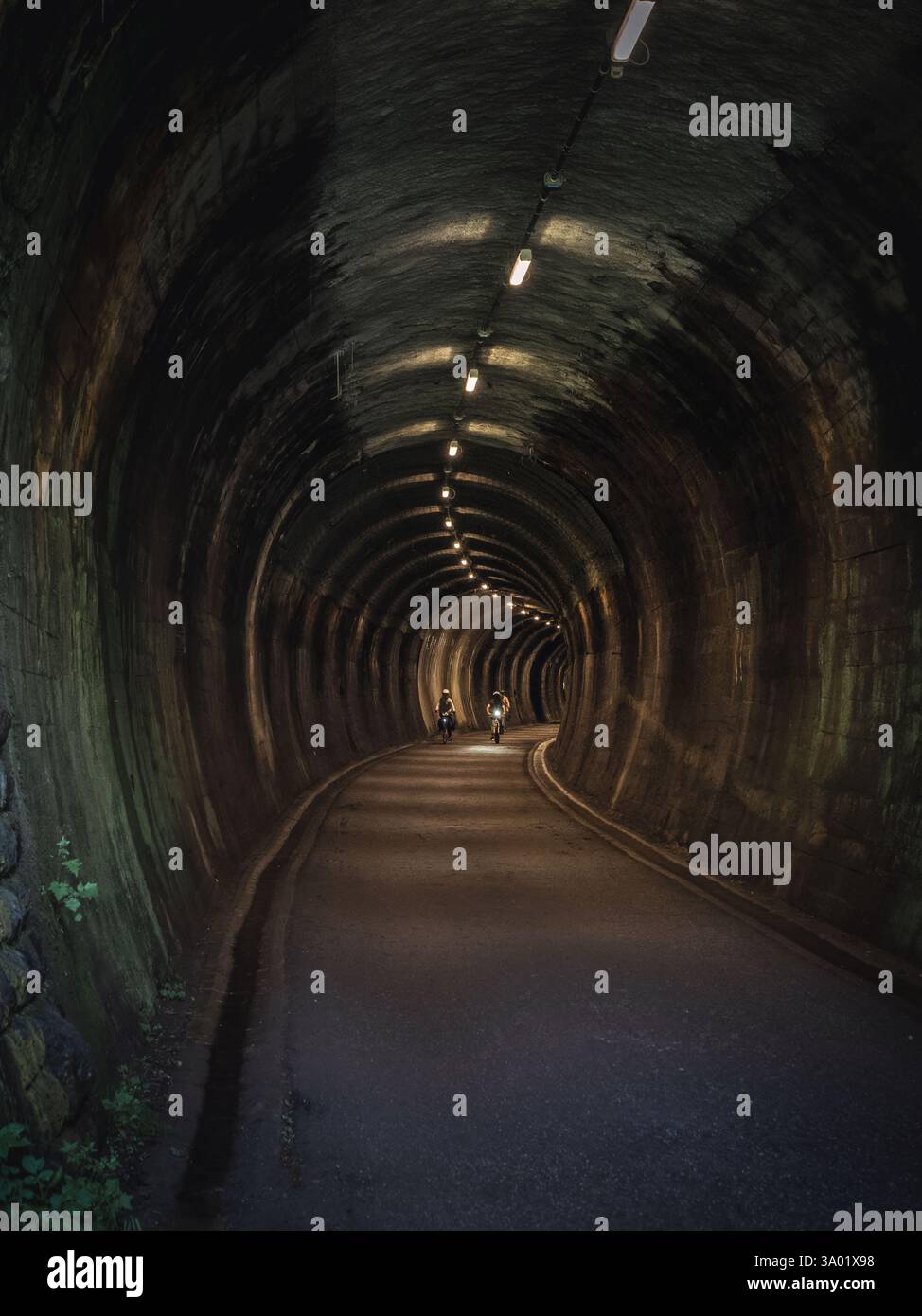 A dimly lit railway tunnel with curved stone walls on the Alpe Adria ...