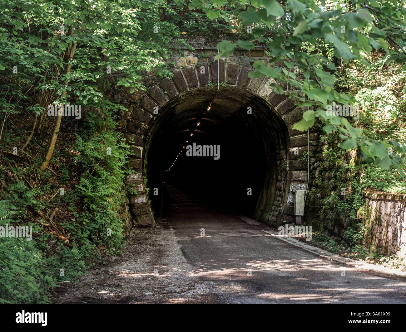 An old railway tunnel on the Alpe Adria bike route, framed by lush green foliage. The dimly lit ...