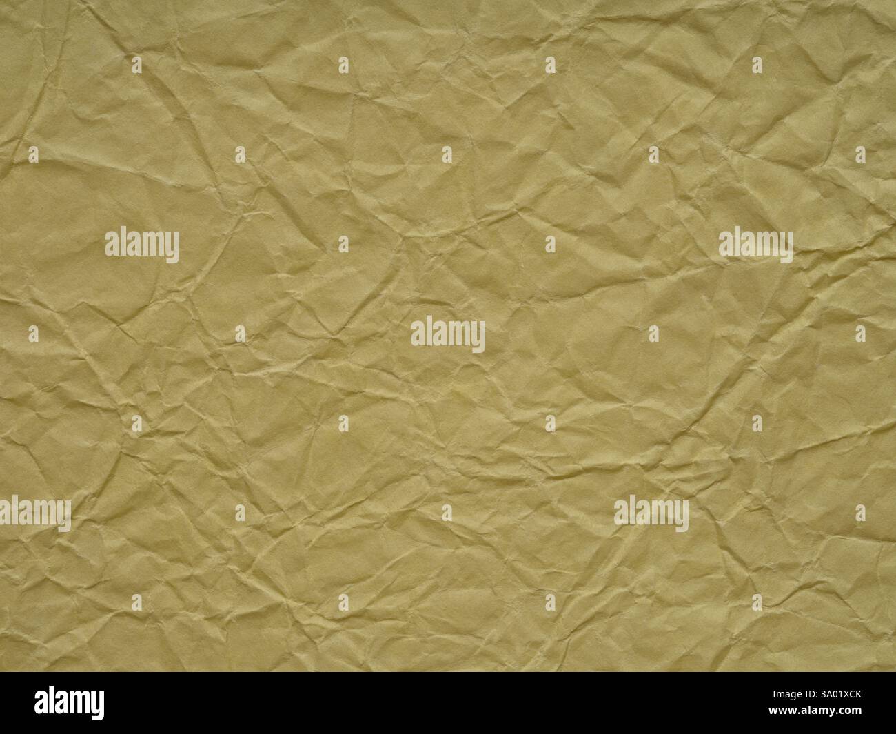 Chartreuse whispers across the textured expanse, a delicate interplay of light and shadow in ...