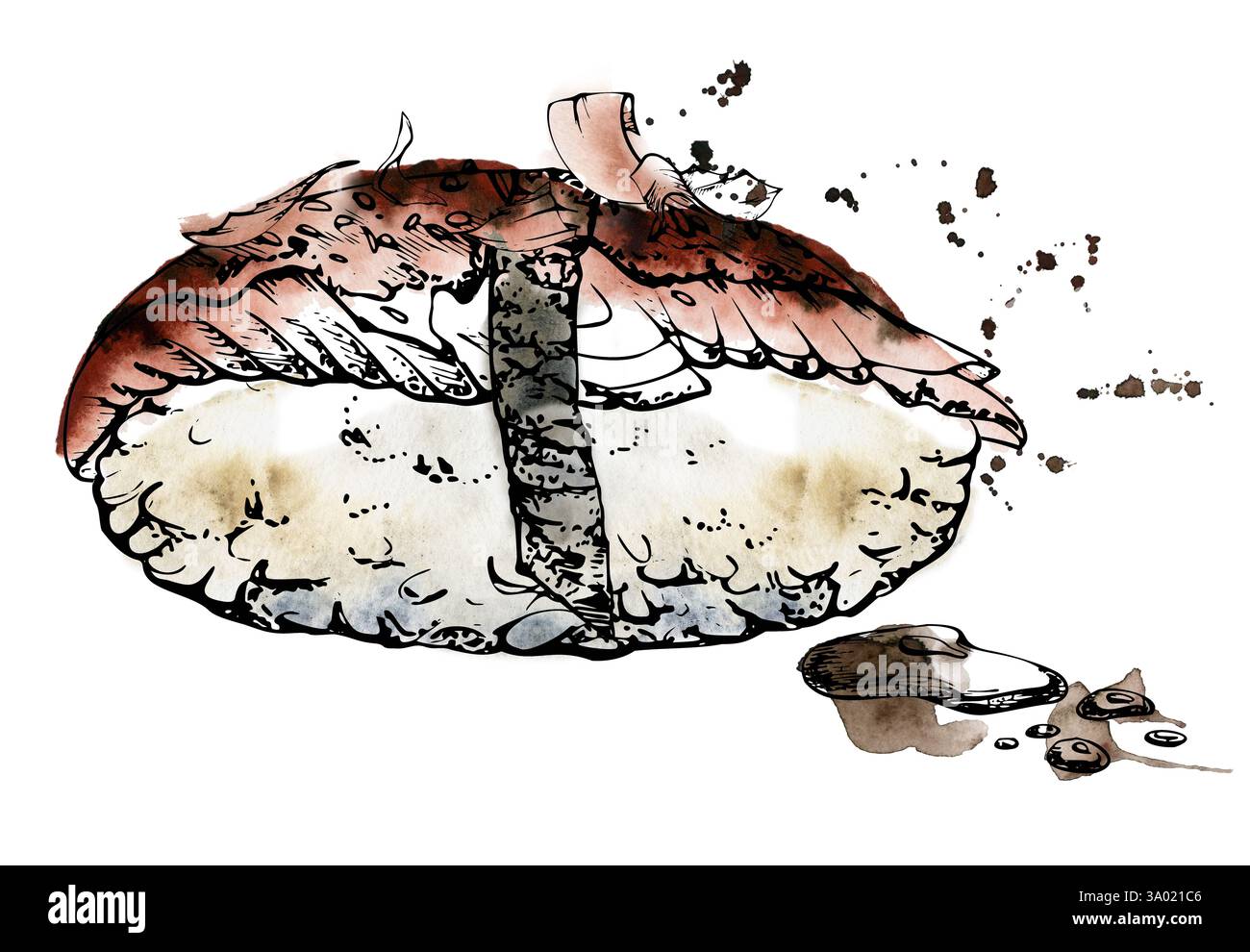 Traditional Japanese food, nigiri sushi with raw fish unagi saba ...