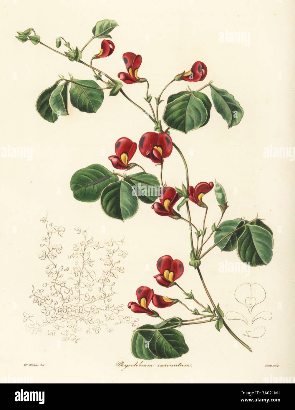 John hugel hi-res stock photography and images - Alamy