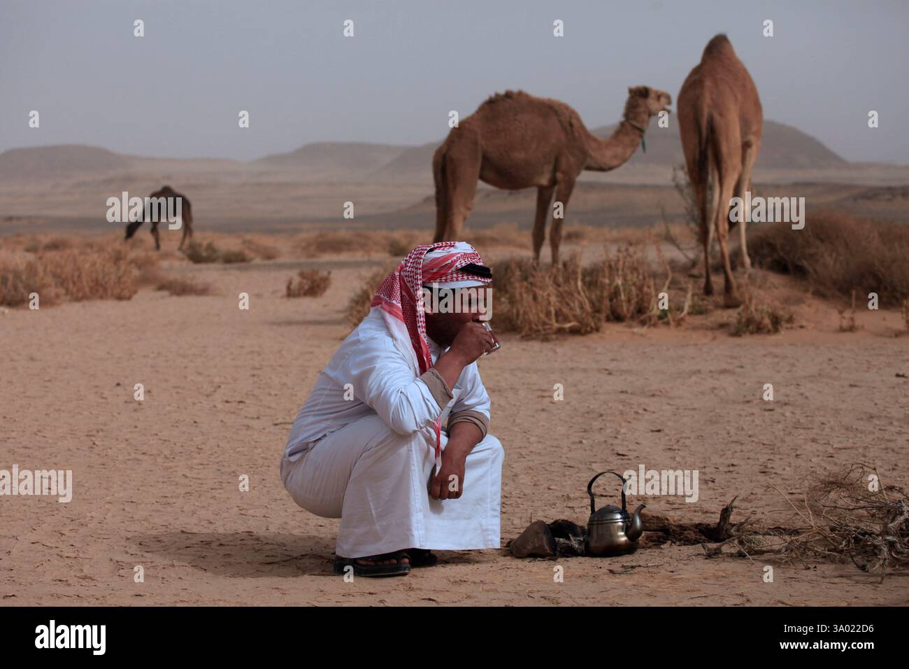 A Bedouin man wearing the traditional red-and-white keffiyeh which is a ...