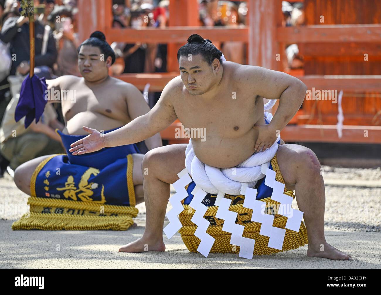 New sumo grand champion Hoshoryu performs a ring-entering ritual at ...