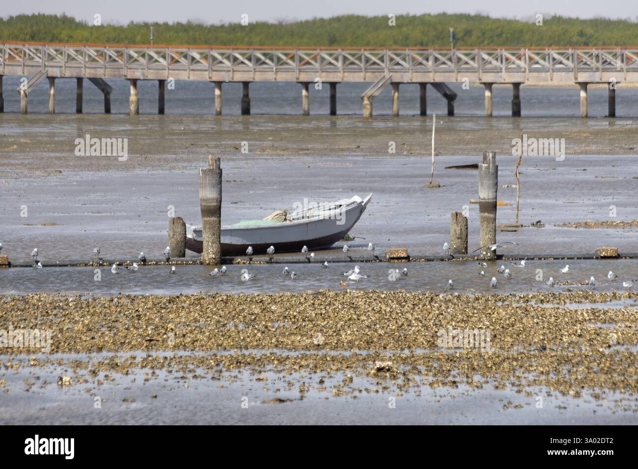 Fishing boats on the beach at Joal Fadiouth the shell island Senegal ...