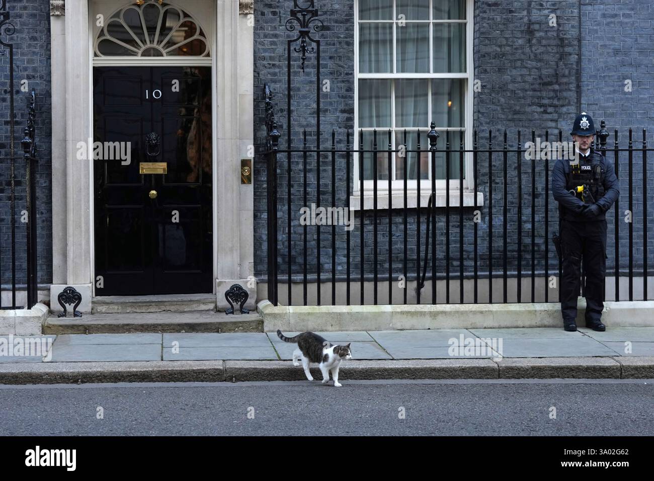 Larry the cat, and Chief Mouser to the Cabinet Office takes a walk from ...