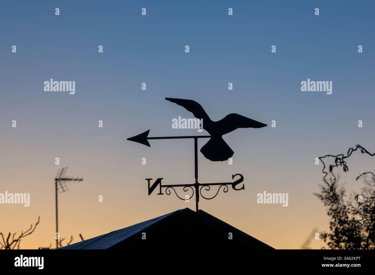 Bird falcon weathervane hi-res stock photography and images - Alamy