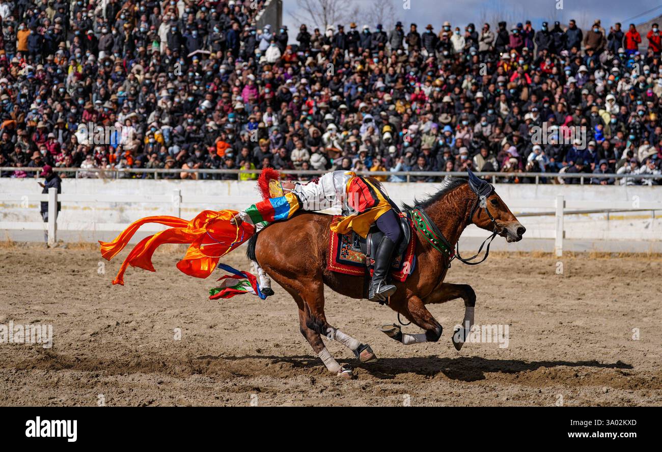 (250302) -- LHASA, March 2, 2025 (Xinhua) -- A rider performs hada (a ...