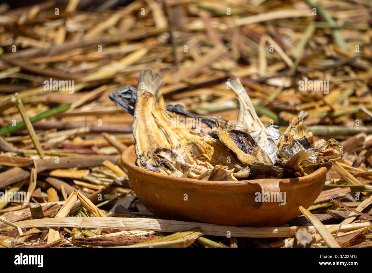 Native Andean Dried Fish in a Clay Pot on Totora Rafts at Uros Floating ...