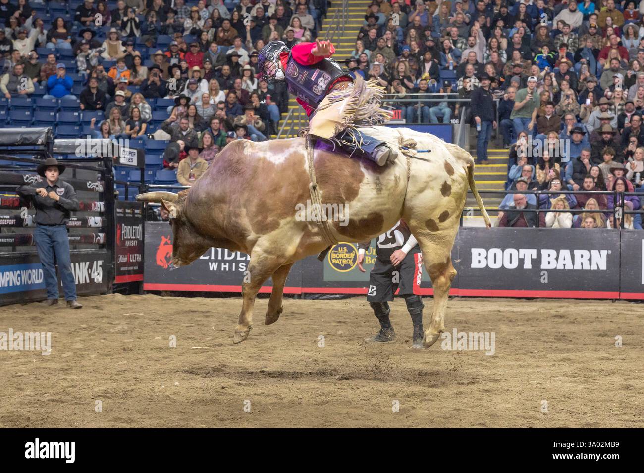 Bridgeport, United States. 01st Mar, 2025. Grayson Cole rides ...