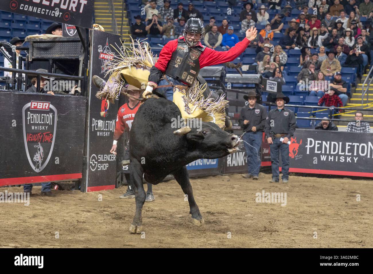 Grayson cole hi-res stock photography and images - Alamy