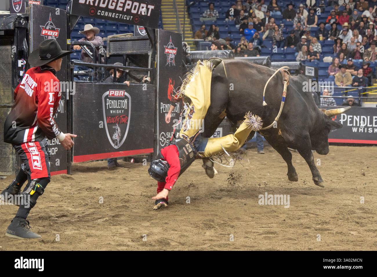Grayson Cole rides Squealin' Kitty during the Professional Bull Riders ...