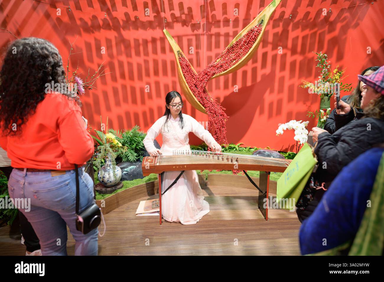 Philadelphia. 2nd Mar, 2025. An artist plays guzheng, a traditional ...